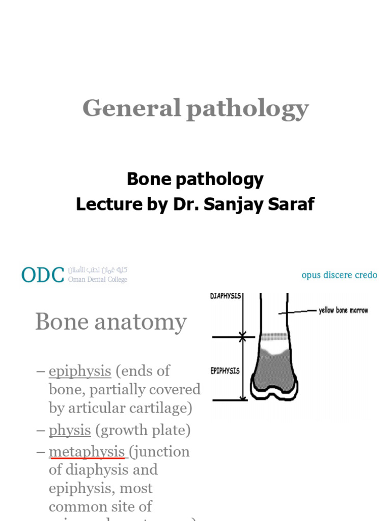 Bone Pathology 2022 | PDF