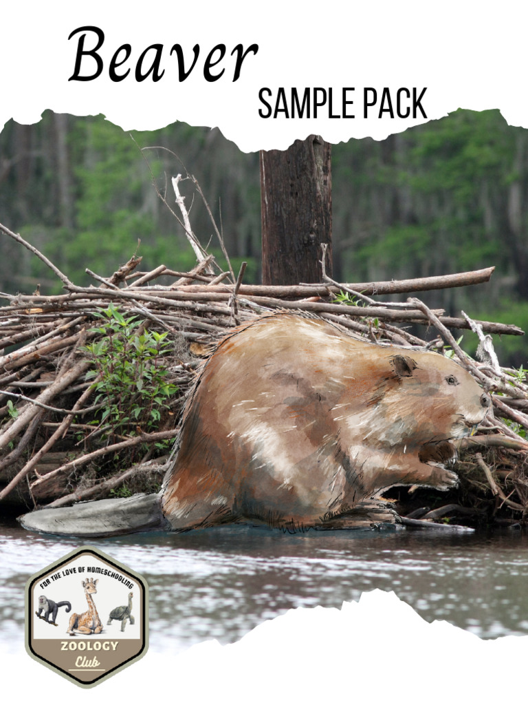 Beaver Sample Pack by FTLOH | PDF