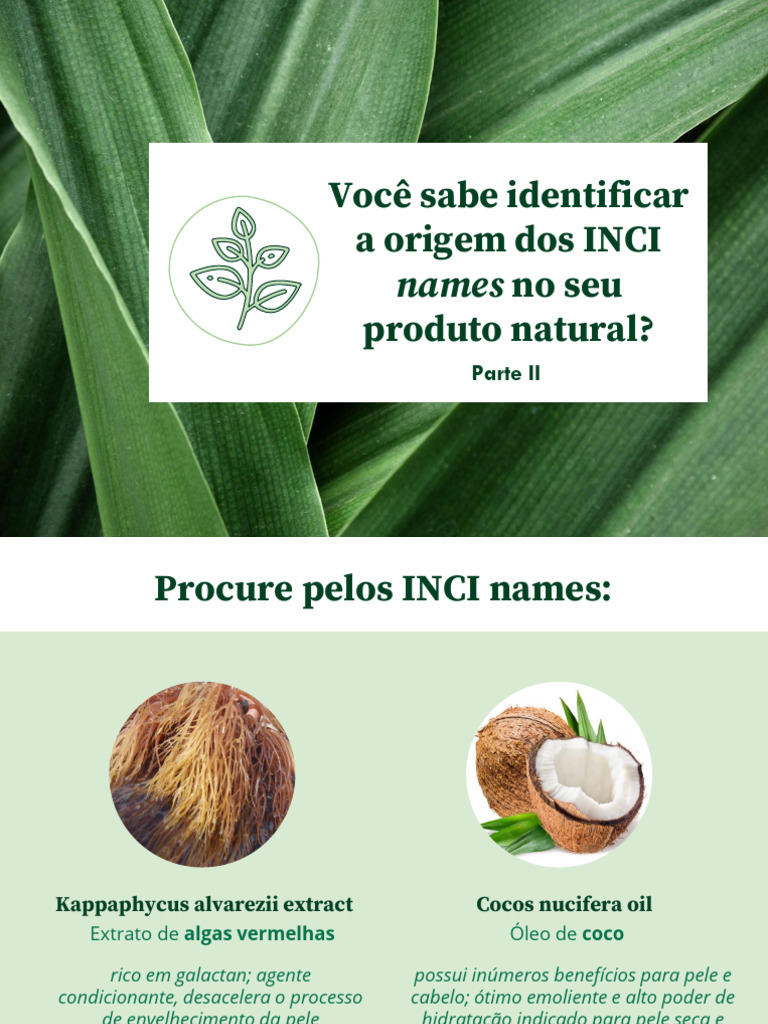 INCI Names Ingredientes Naturais 1636908075 | PDF