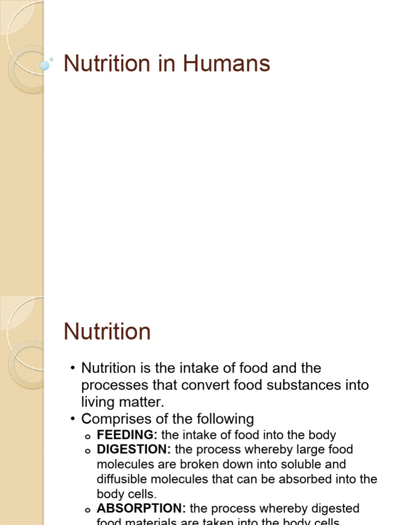 Nutrition in Human | PDF