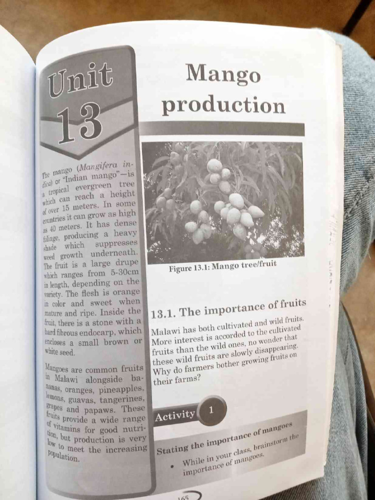 Unit 13 - Mango Production | PDF