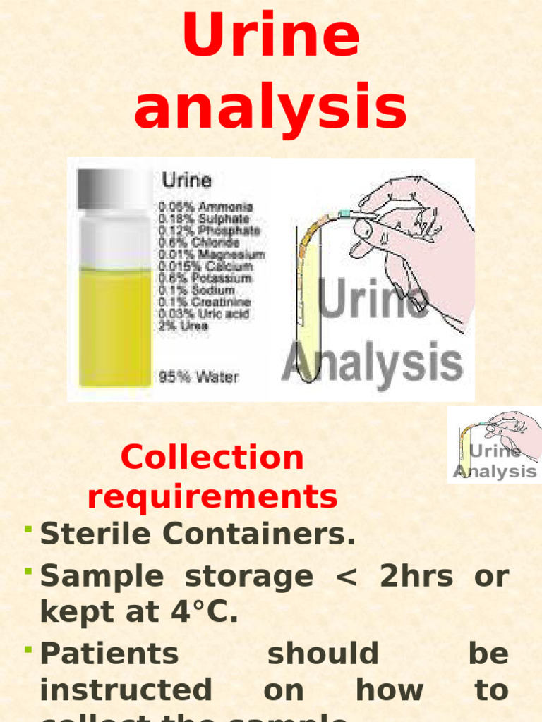 Training - Urine Analysis | PDF