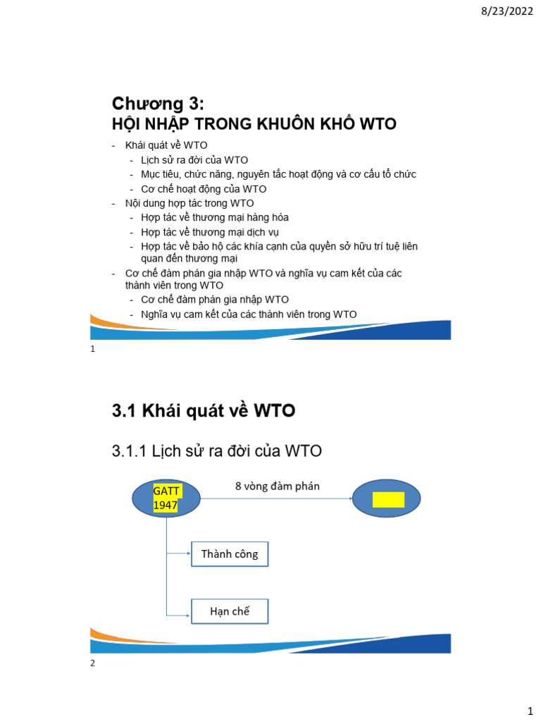 C3 - Hoi Nhap Trong Khuon Kho WTO | PDF