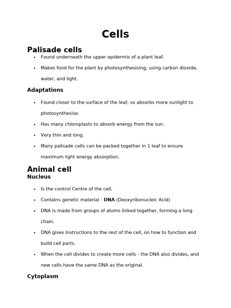 Cells | PDF