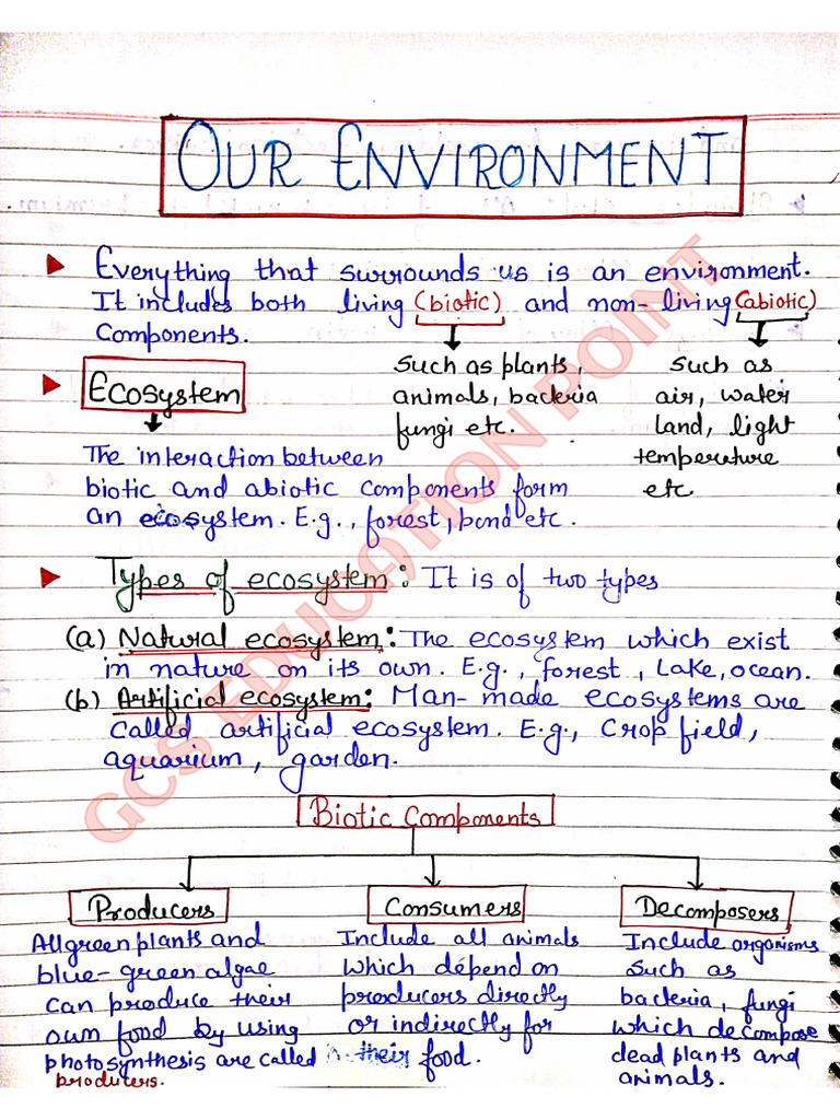 Education Point Overview | PDF