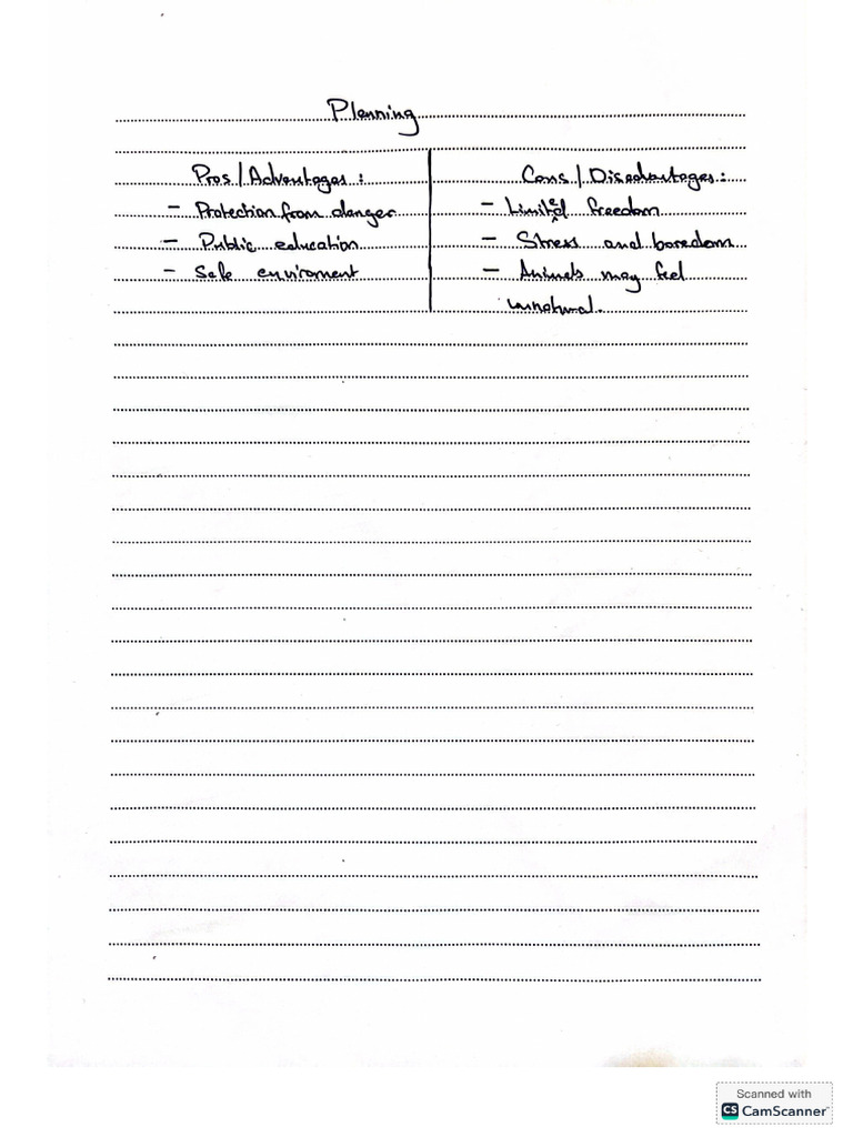 Lama Amin Zoo Two Sided Article | PDF