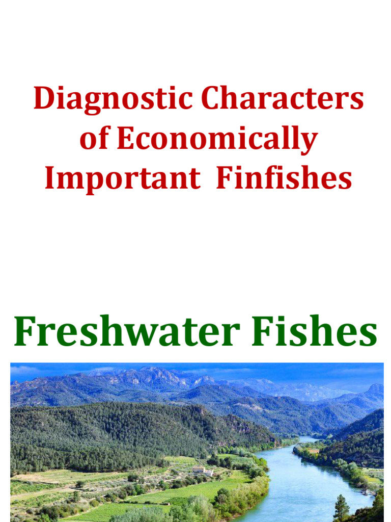Diagnostic Characters of Finfishes | PDF | Fish | Vertebrates