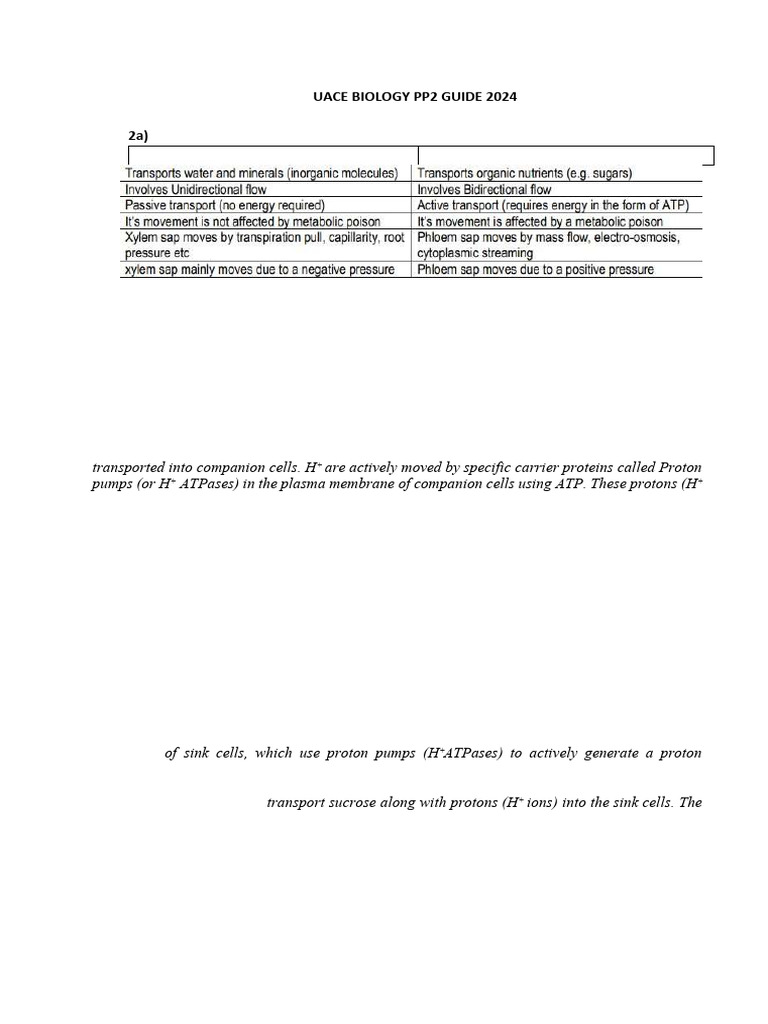 Matigo Mocks 2024 Bio Pp2 Guide | PDF