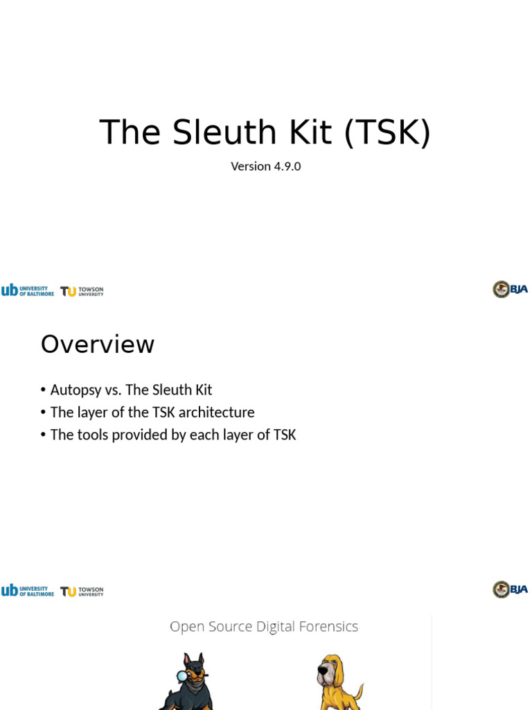 6 Sleuth Kit Tutorial | PDF
