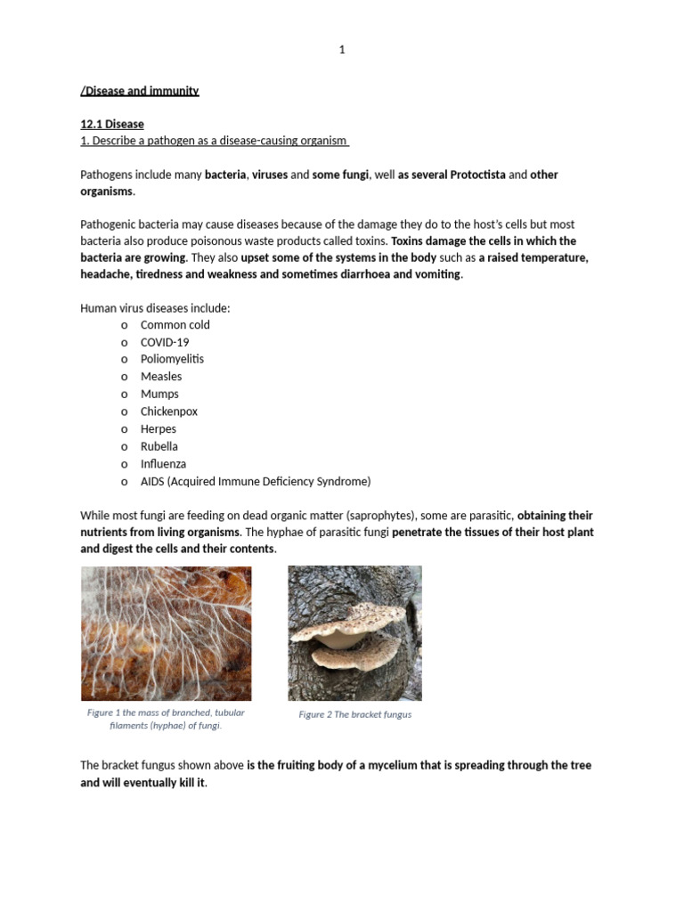 Understanding Pathogens and Disease Transmission | PDF | Malaria | Cholera
