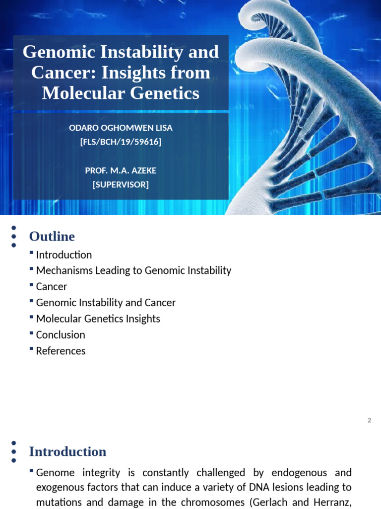 Genomic Instability and Cancer | PDF