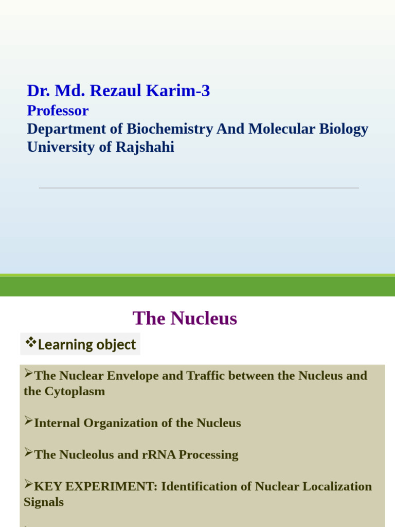 Nucleus M.SC Lecture | PDF