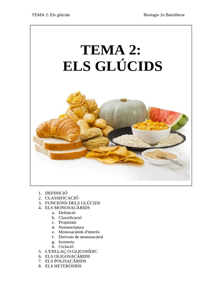 Tema 2. Els Glúcids | PDF