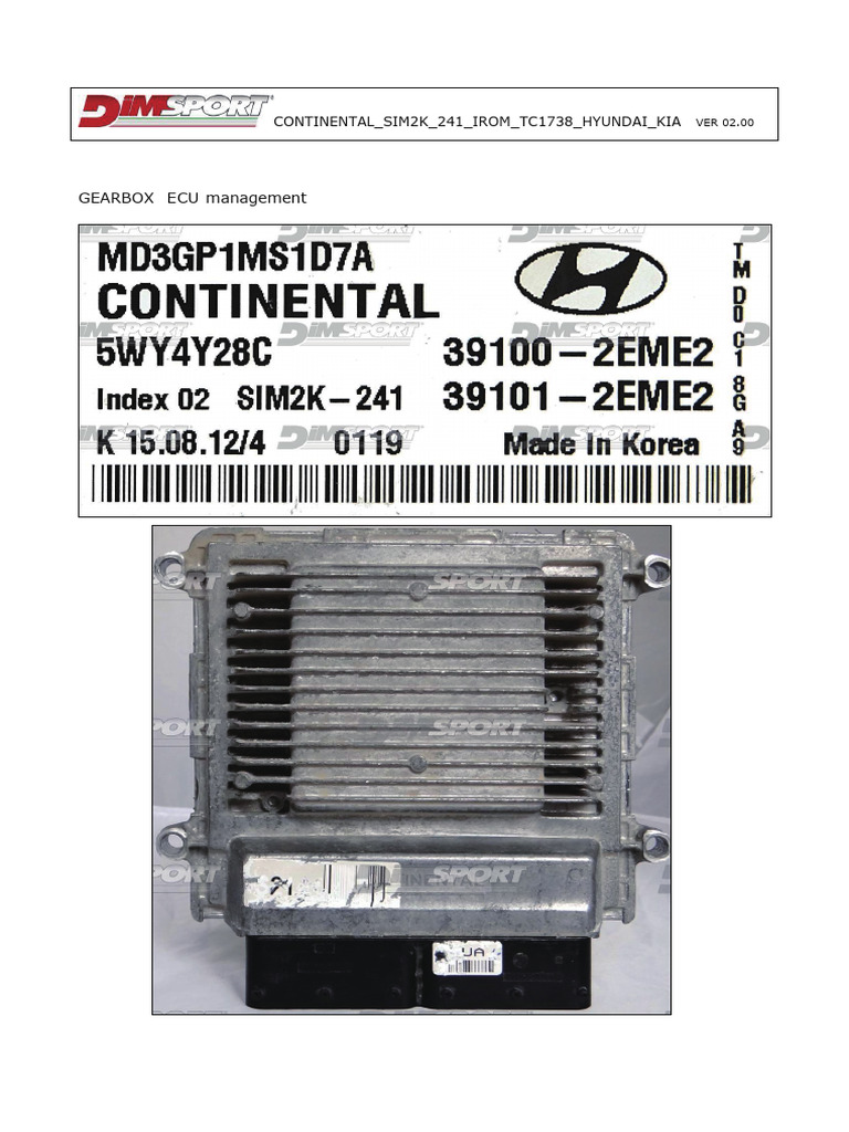 Continental Sim2k 241 Irom TC1738 Hyuandai Kia | PDF