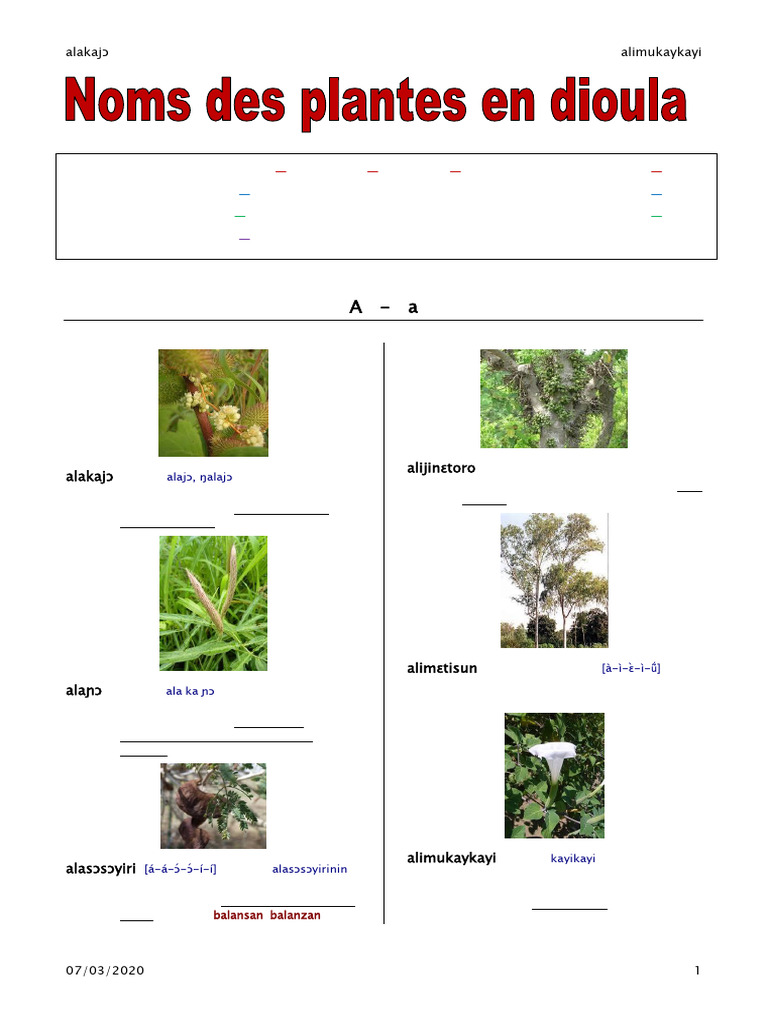 Dioula Plantes Lexique | PDF