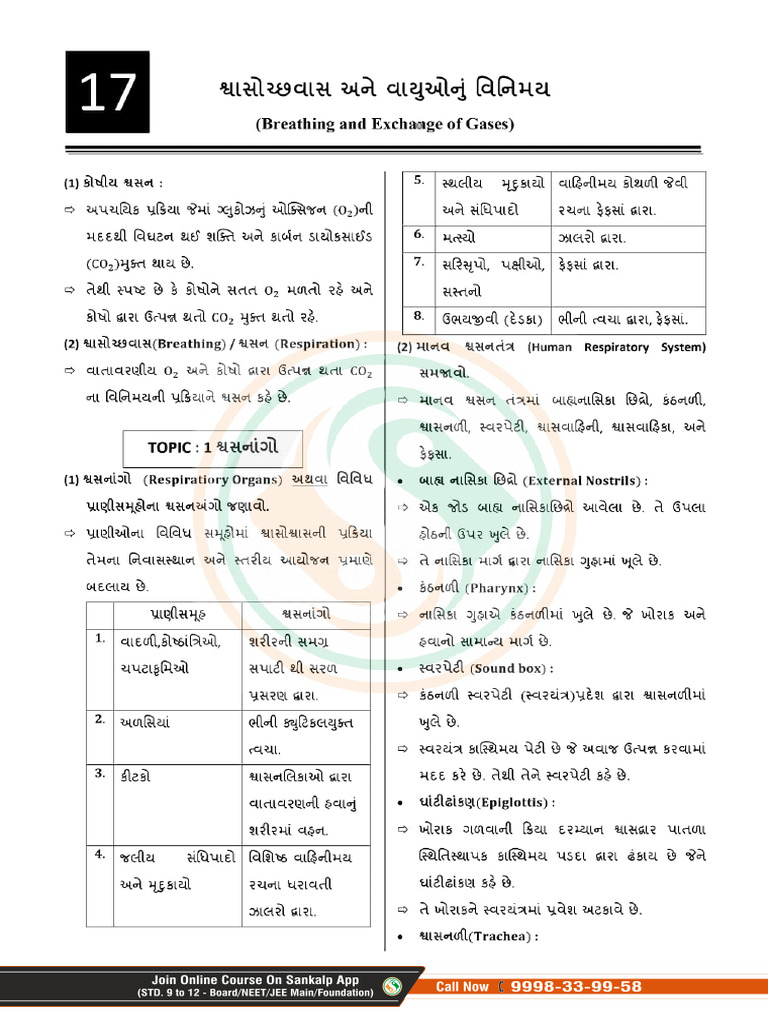 Human Respiratory System Overview | PDF | Wellness | Science & Mathematics