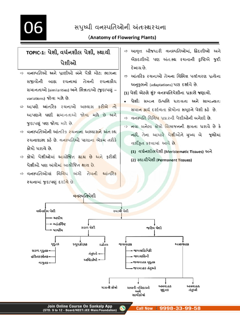 STD 11 Bio Ch6 Neet-Jee Module With DPP | PDF | Wellness | Technology & Engineering