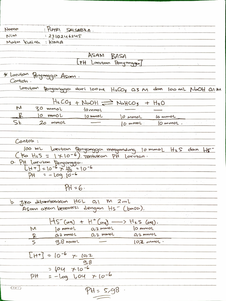 Putri Salsabila - 2310246245 - PH Larutan Penyangga | PDF