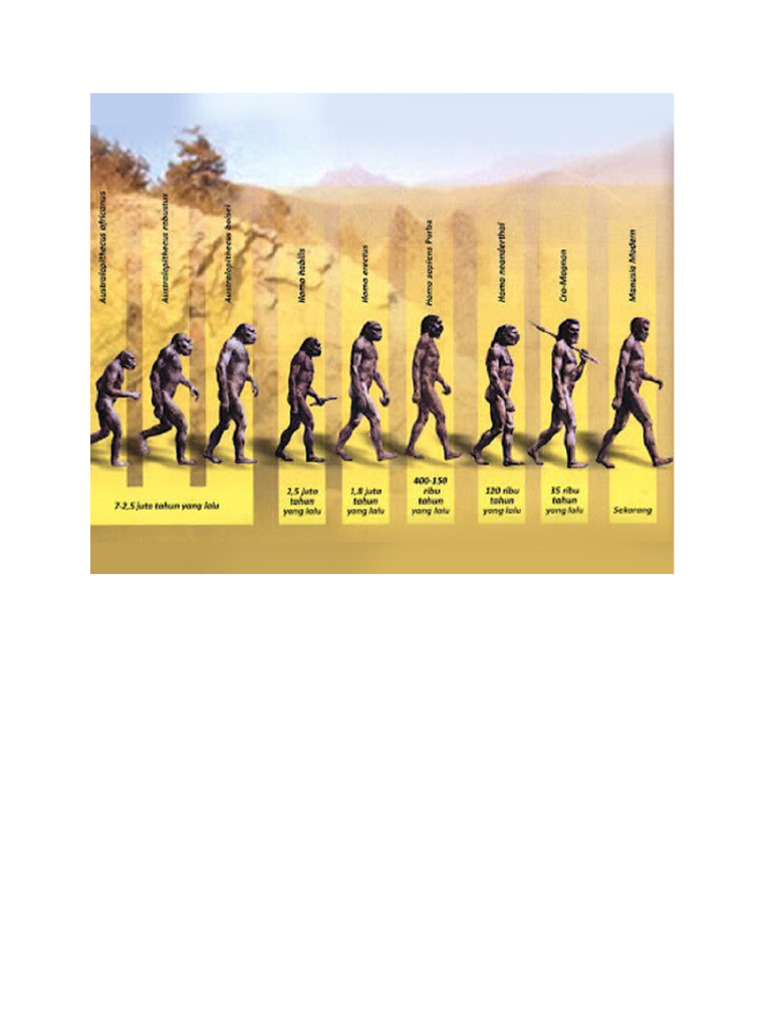 Evolusi Darwin | PDF