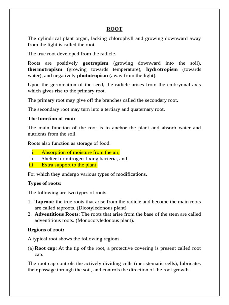 Morphology of Plant Notes | PDF