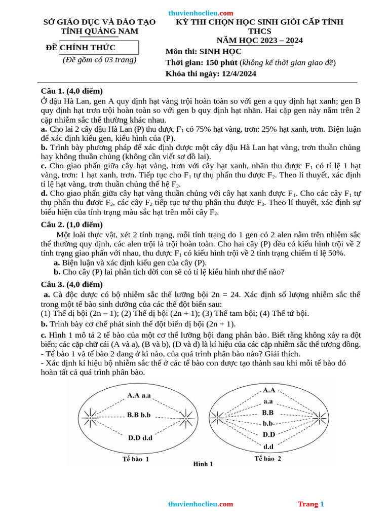 De Thi HSG Sinh 9 Quang Nam 23 24 | PDF