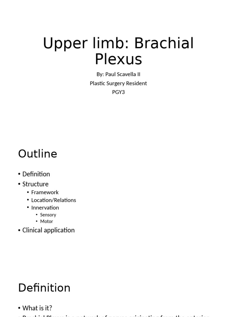 Brachial Plexus | PDF