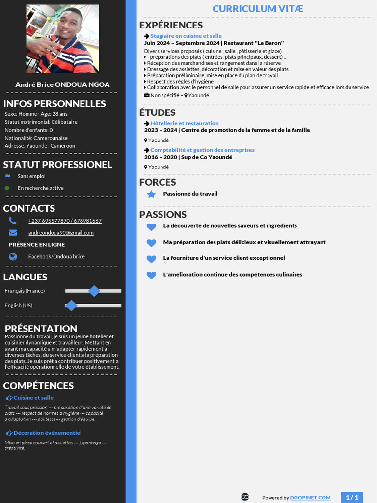 CV Andre Brice Ondoua Ngoa | PDF