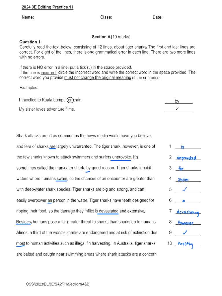 2024 3E Editing Practice 2 | PDF