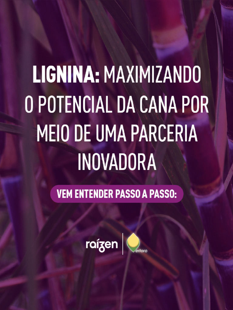 Lignina Raizen | PDF