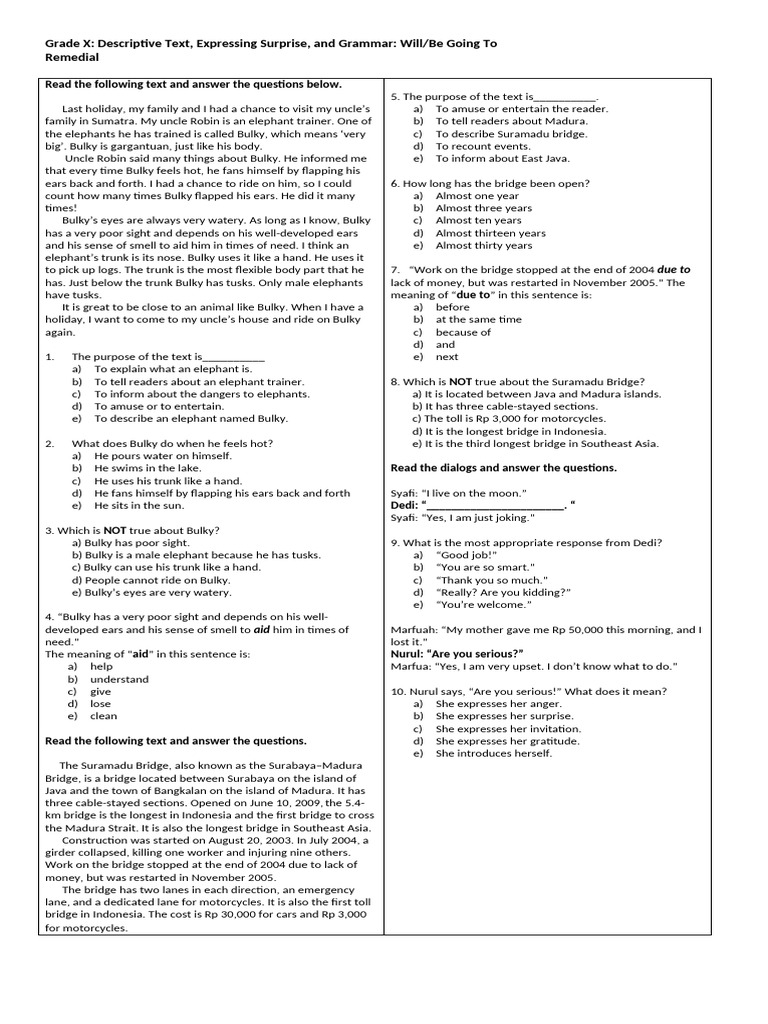 Grade X-Descriptive, Will and Be GoingTo, Expressing Surprise Remedial | PDF