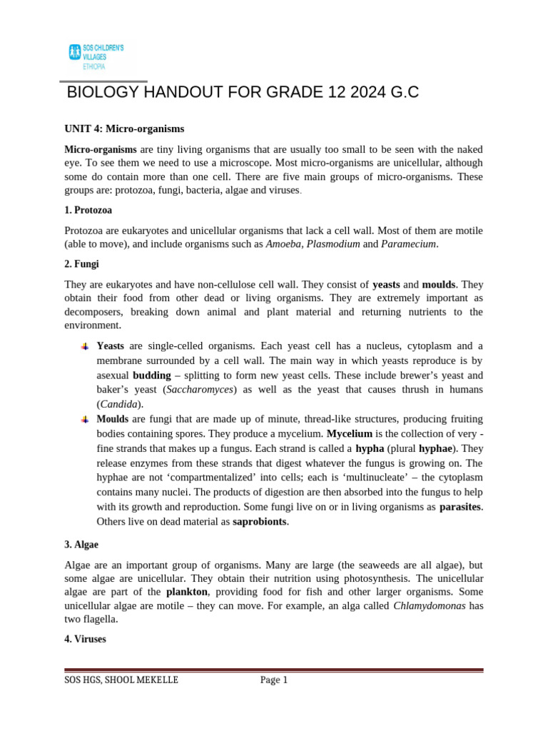 Grade 12 Updated Handout | PDF