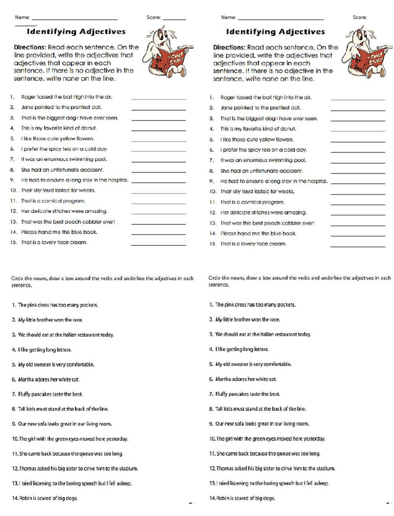Week 8 English Adjectives Activity | PDF