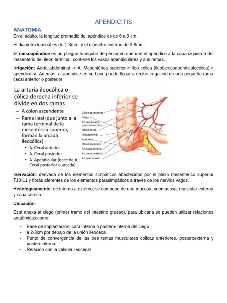 Apendicitis | PDF