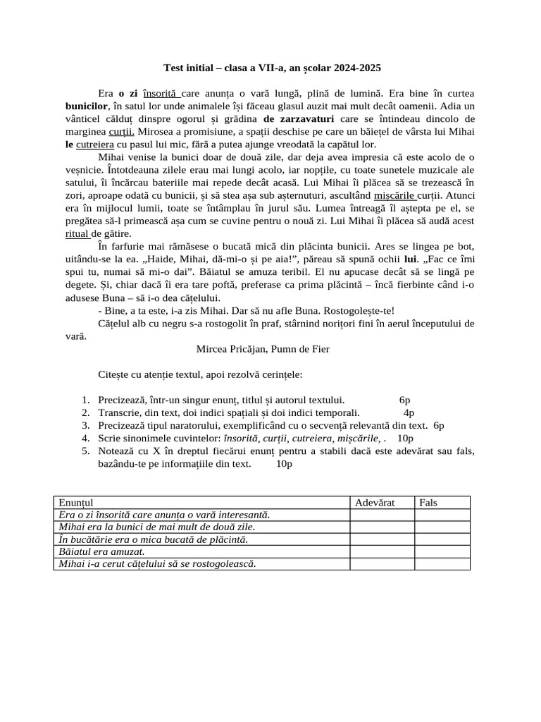 Test Initial Vii 20242025 | PDF