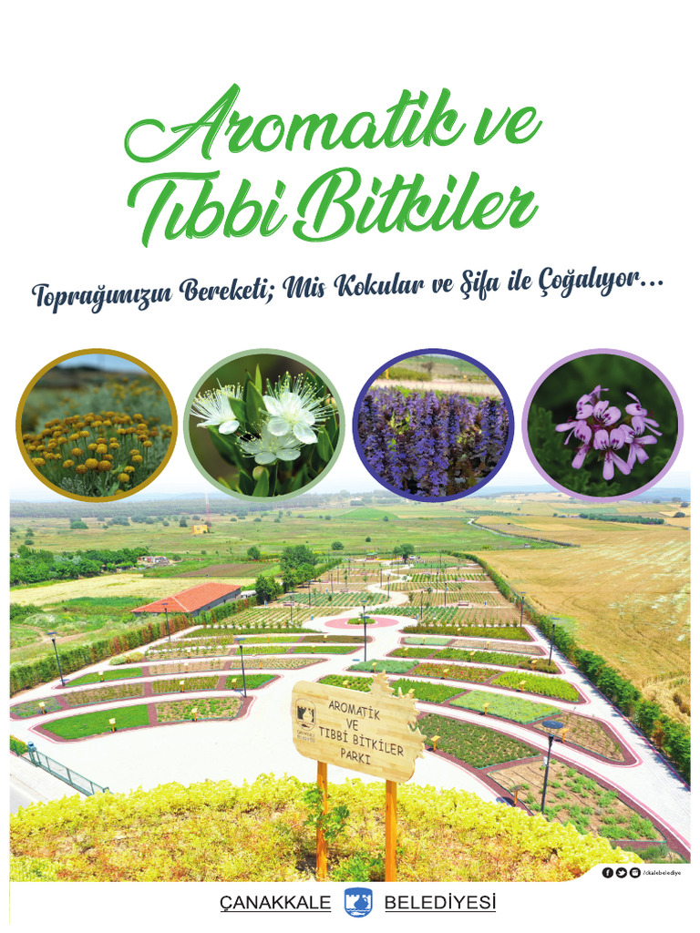 O An 5 W0 KPJB 34 GII3 XOyt 6 e 6 RW NP MRA8 M | PDF