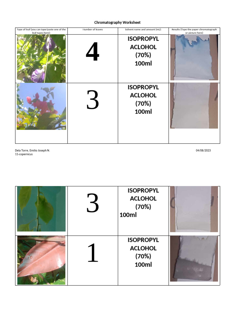 Worksheet For Chromatography | PDF