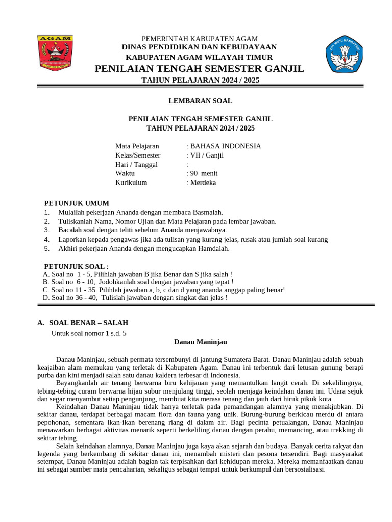 Pts Ganjil B.indo Vii 2024-2025 | PDF