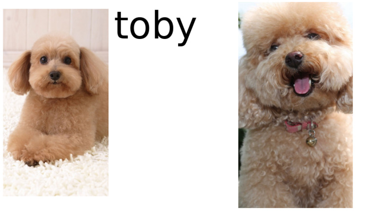 Toby | PDF