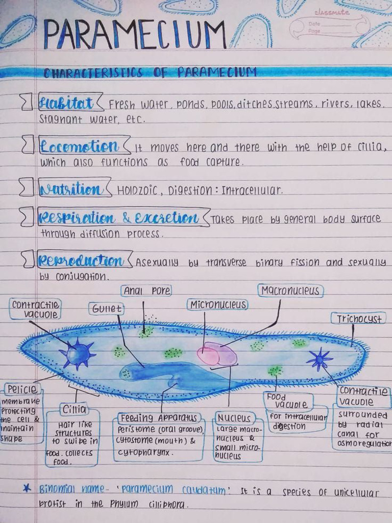 Biology Note 1 | PDF