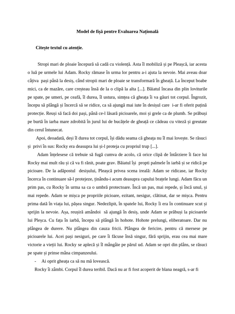 Baterie - Fișe - Model - Evaluare Națională - 2024 - Caracterizare de Personaj Elev | PDF