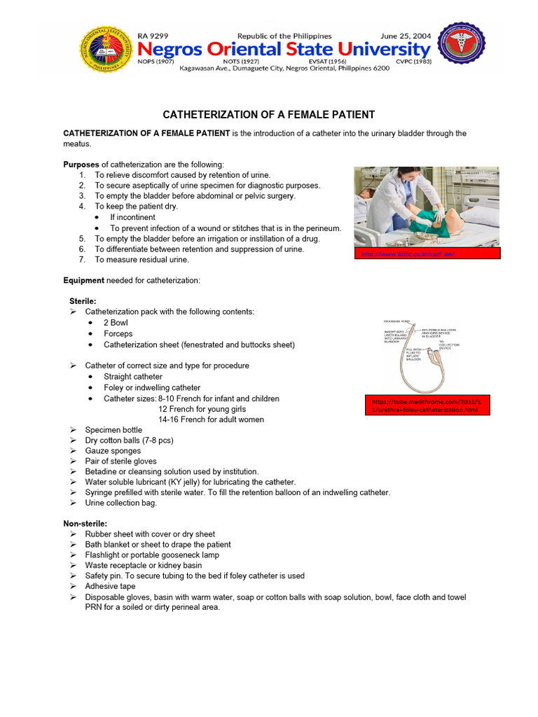 Catheter | PDF