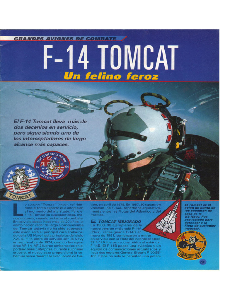 F 14 Tomcat Felino Feroz | PDF
