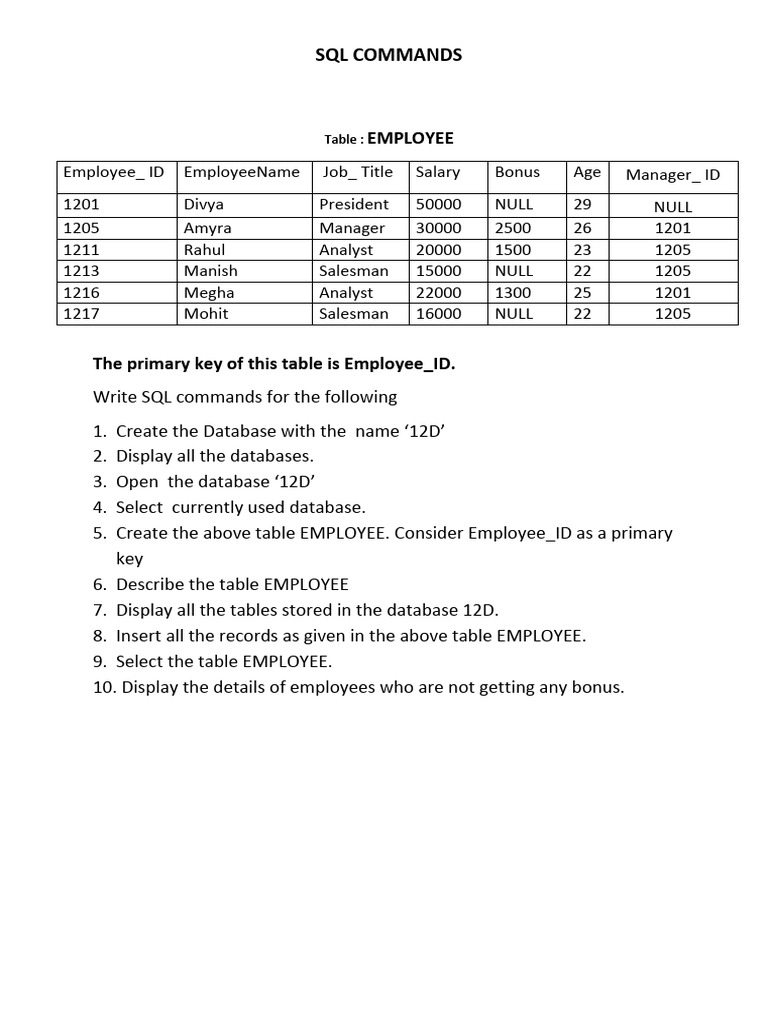 SQL Record Activity IT Class 12 | PDF