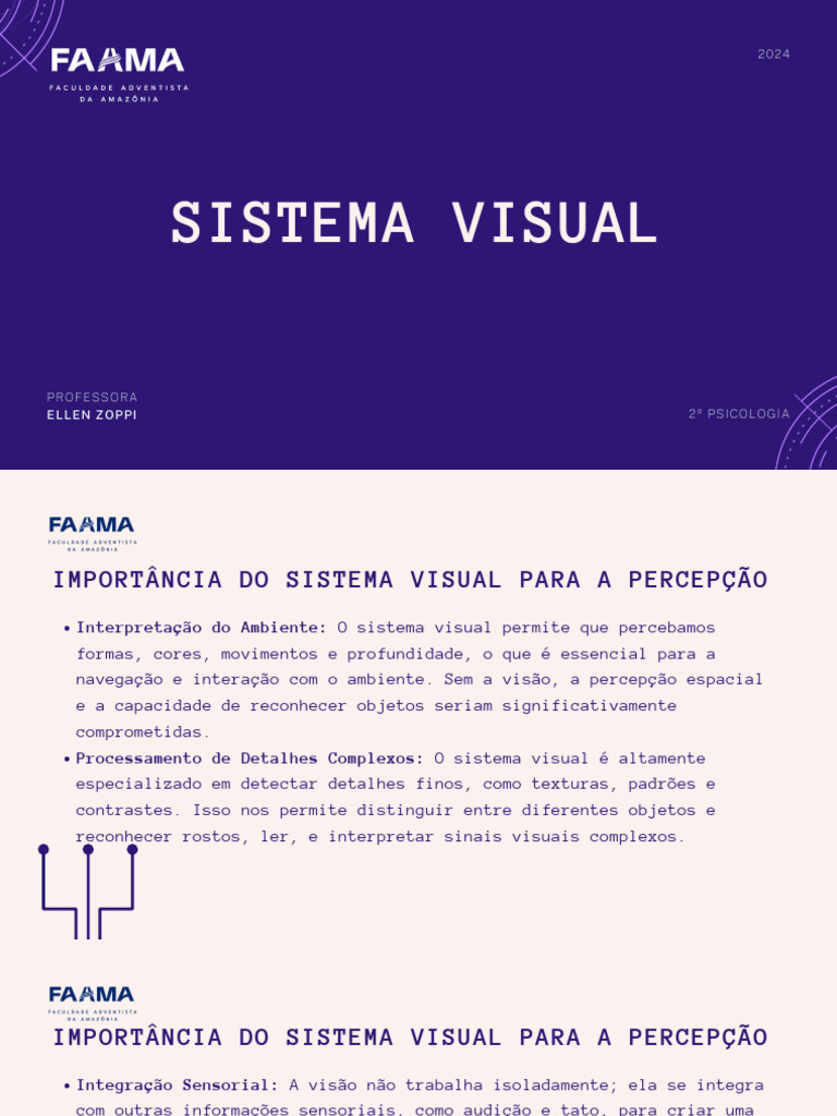 Aula 2 - Sistema Visual | PDF