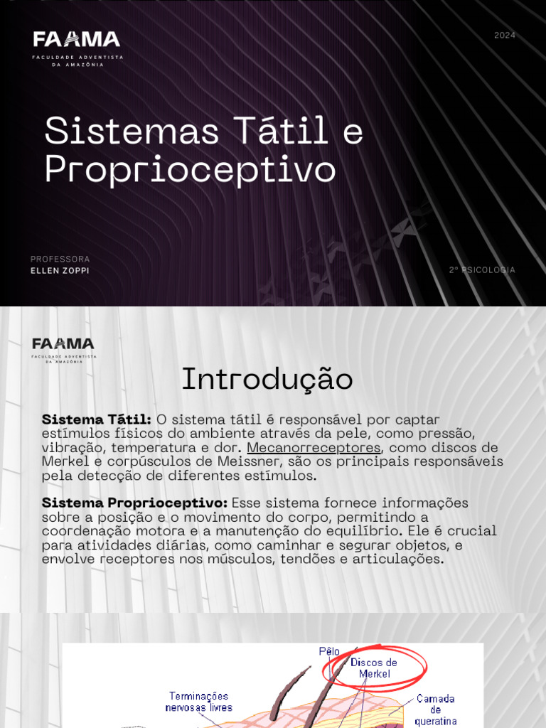 Aula 4 - Sistemas Tátil e Proprioceptivo | PDF