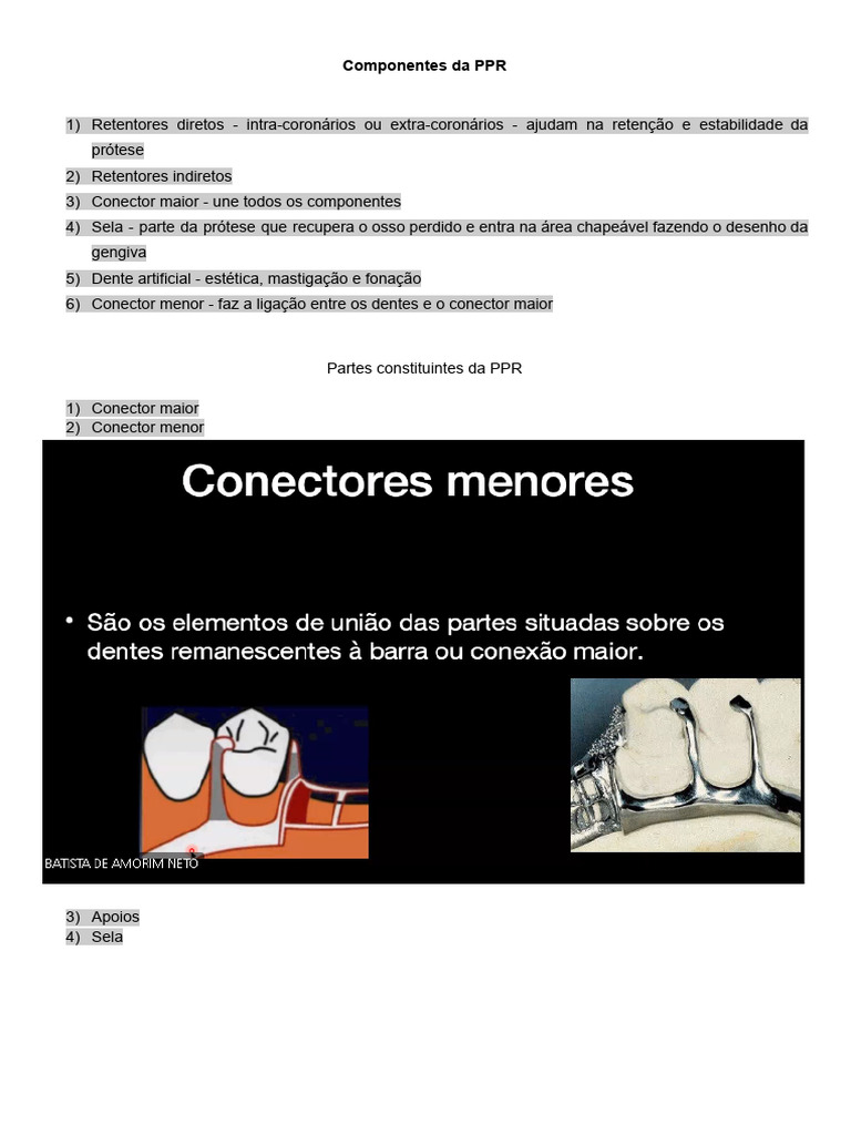 Componentes Da PPR | PDF