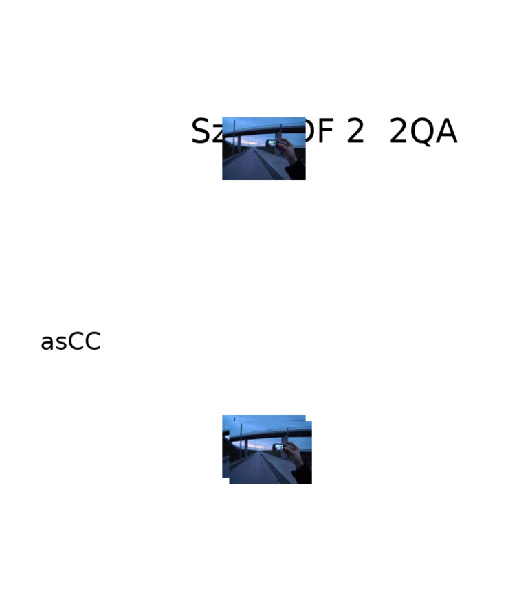 SZF F3DF 2 | PDF