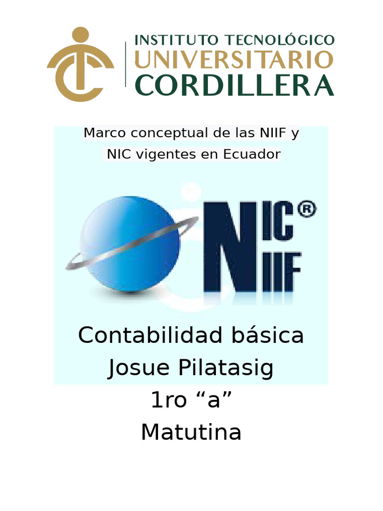 Niif y Nic | PDF