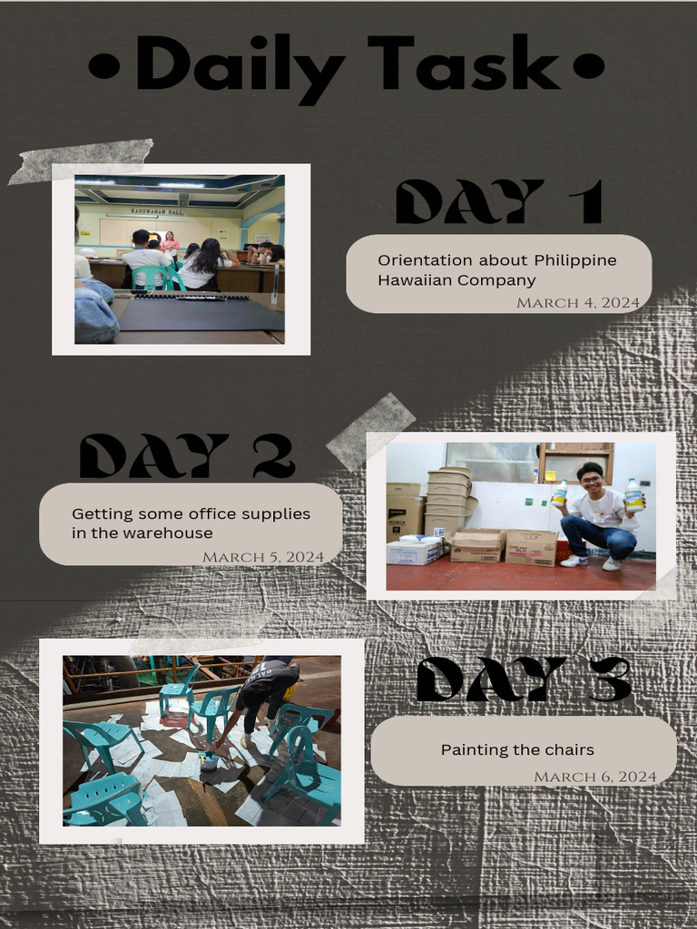 Daily Documentation | PDF