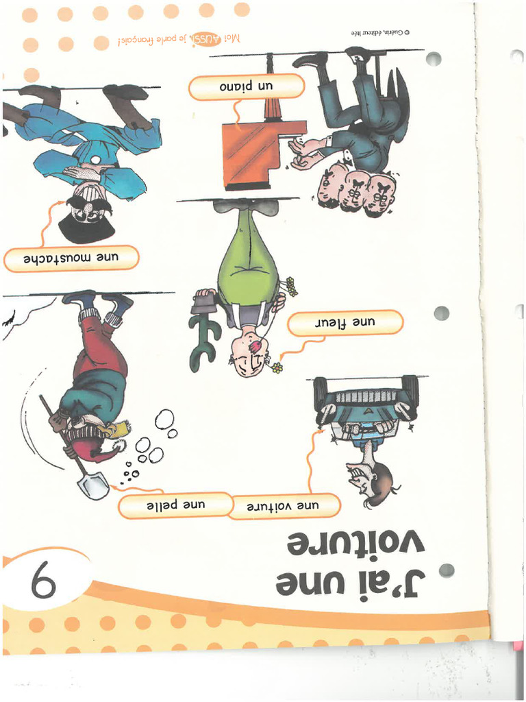 Le Verbe Avoir Exemples 3 | PDF